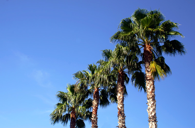 Experience the agricultural exporting benefits of SUSTA's 50% CostShare ...